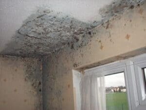 Dampness In Building - Causes, Effects & Prevention