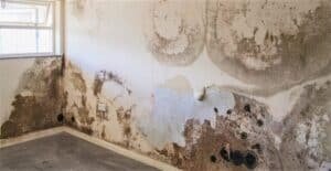 Dampness In Building - Causes, Effects & Prevention